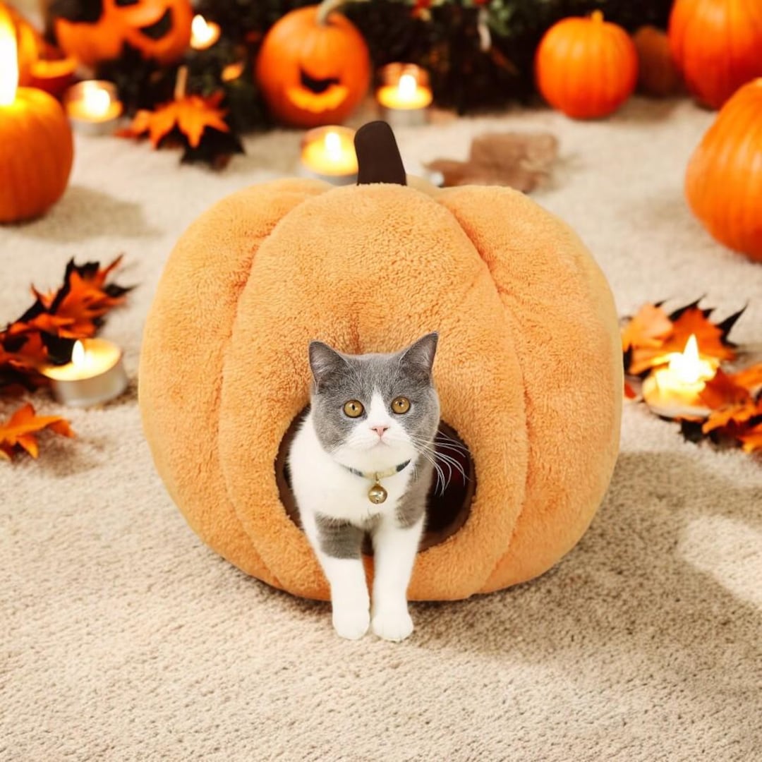 Pumpkin Cat Cove, Halloween Cat Bed, Cat Condo, Cat Cave, Dog Plush Bed ...