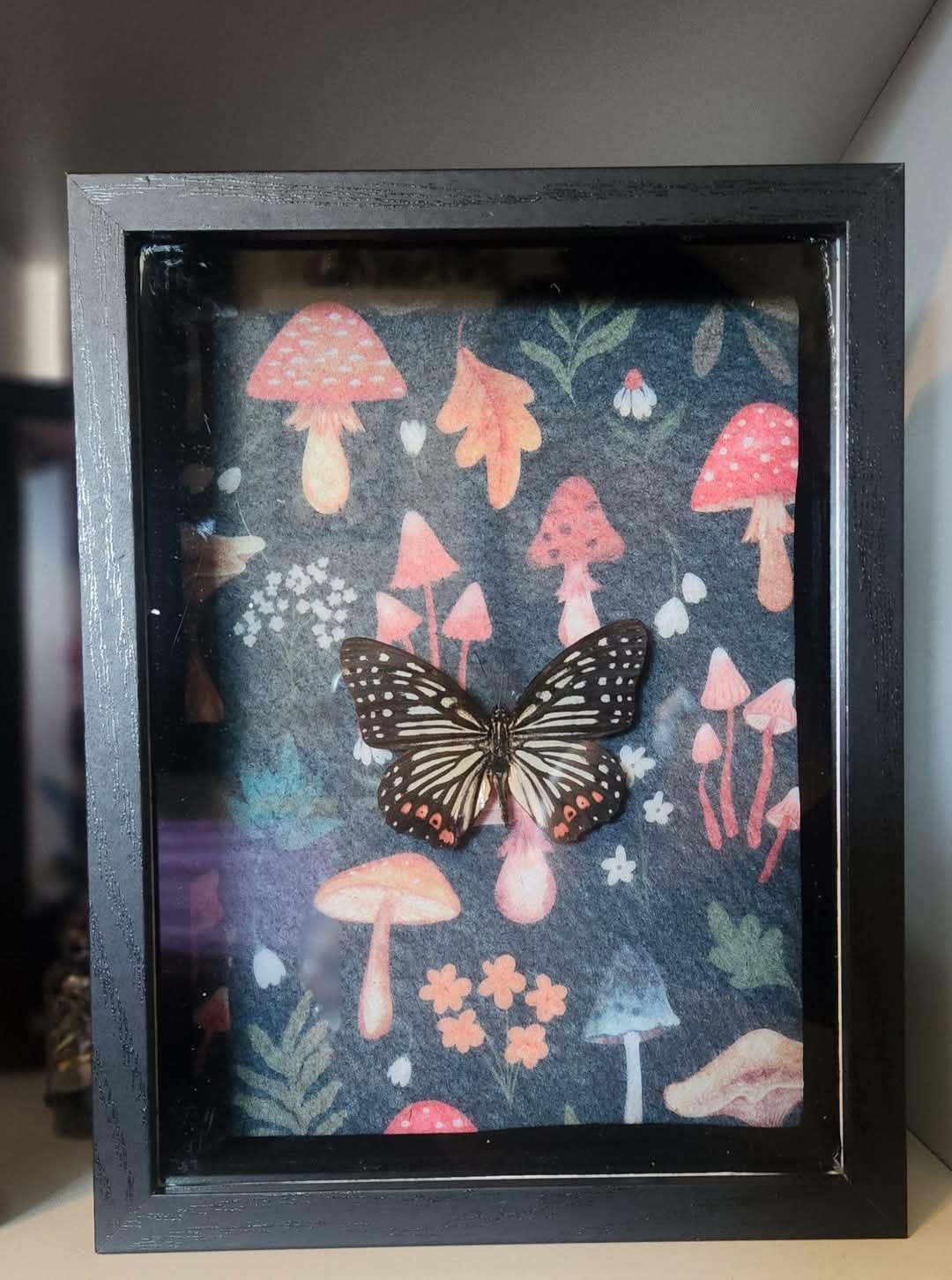 Shadow Box Hestina - Etsy