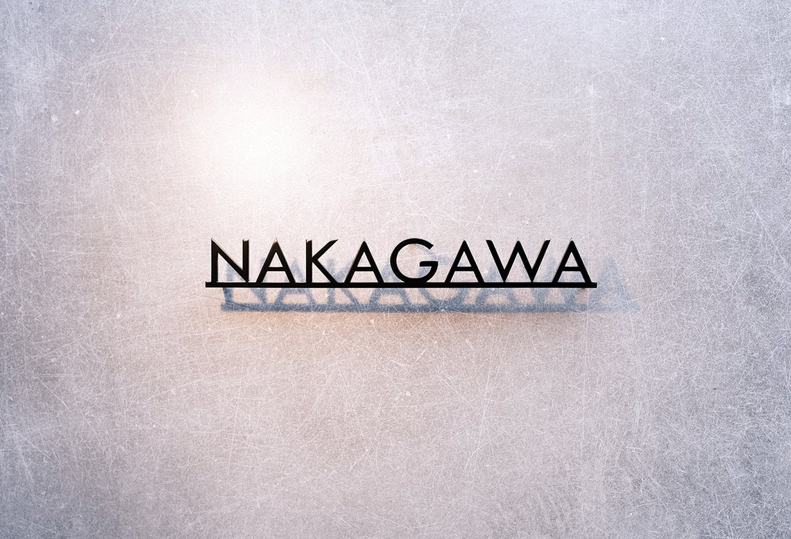 Custom Family Sign, Last Name Sign, Custom Metal Sign, Modern Metal ...