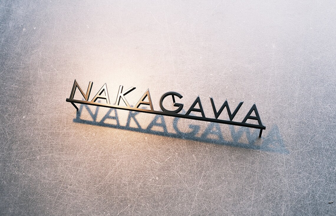 Custom Family Sign, Last Name Sign, Custom Metal Sign, Modern Metal ...