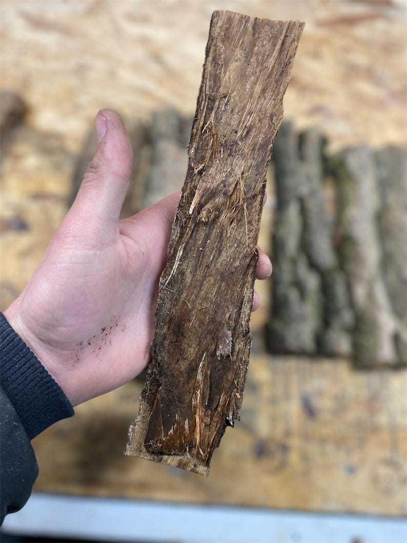 Cottonwood Bark for Carving: Michigan Sourced, Natural Wood (1lb) - Etsy
