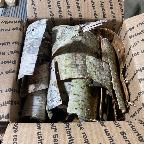 Birch Bark Art - Etsy