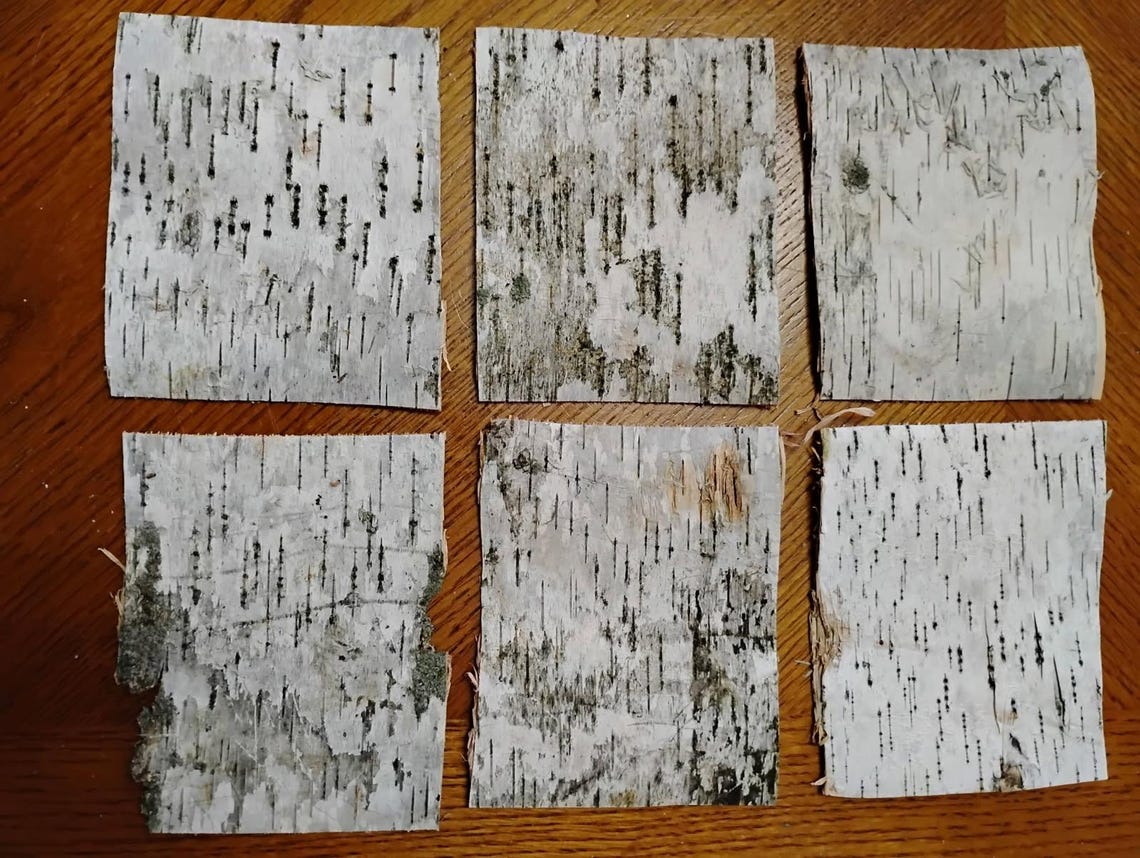 Birch Bark Sheets (pack of 6): Rustic Wedding Decor, Fairy Gardens - Etsy