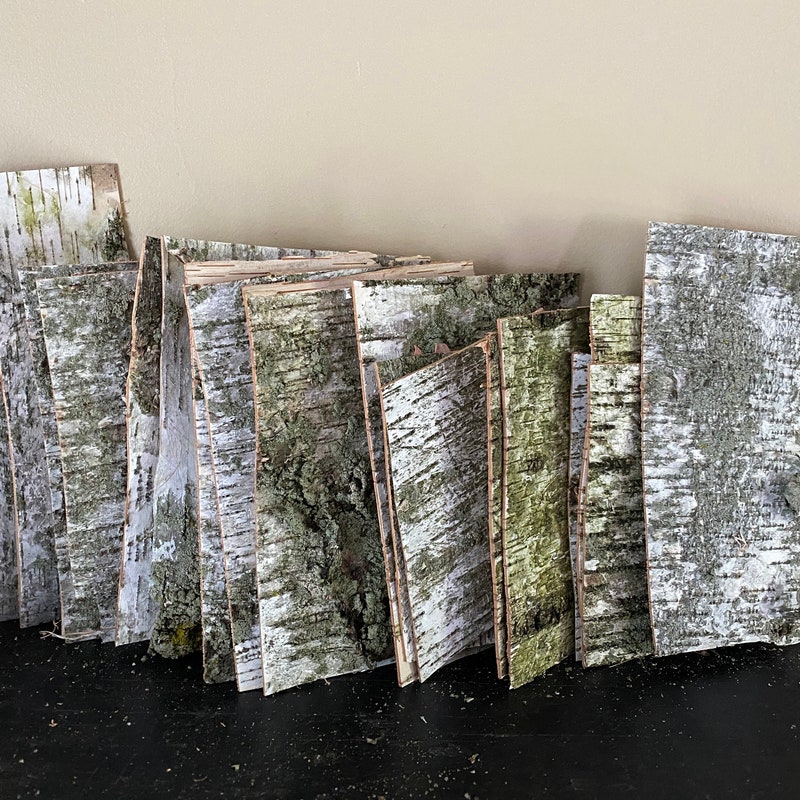 Birch Bark Vase - Etsy