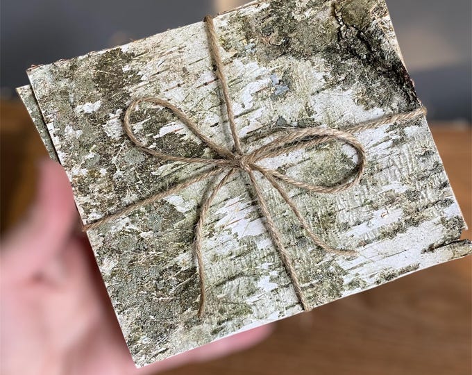 Trees of the Northeast Hardwood Bark Poster 18"x24": 9 Unique Hardwood ...