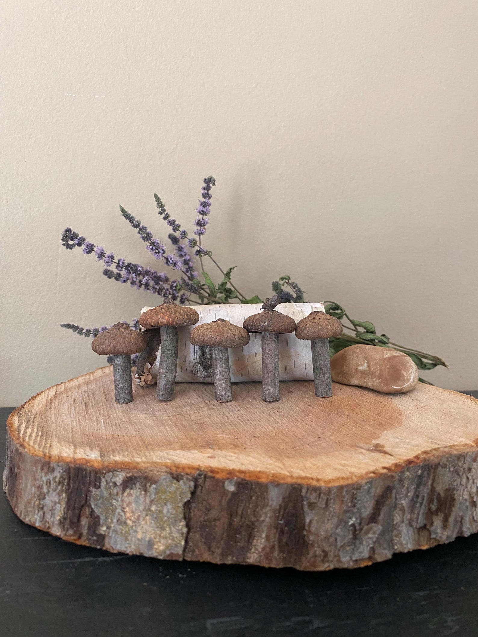 Fairy Garden Acorn Top Twig Stem Minature Mushrooms Pack of 5 Nature ...