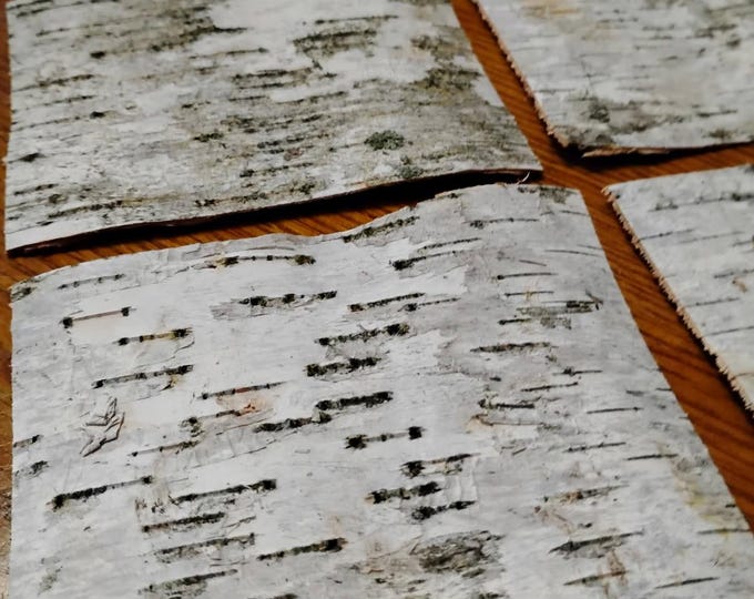 Birch Bark Sheets (pack of 6): Rustic Wedding Decor, Fairy Gardens - Etsy