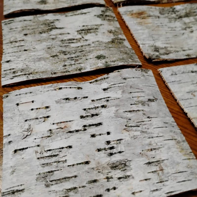 Organic Fairy Core - Etsy