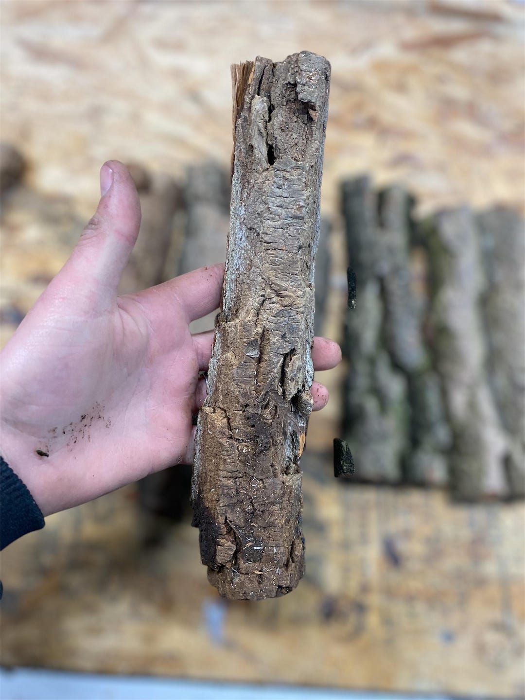 Cottonwood Bark for Carving: Michigan Sourced, Natural Wood (1lb) - Etsy