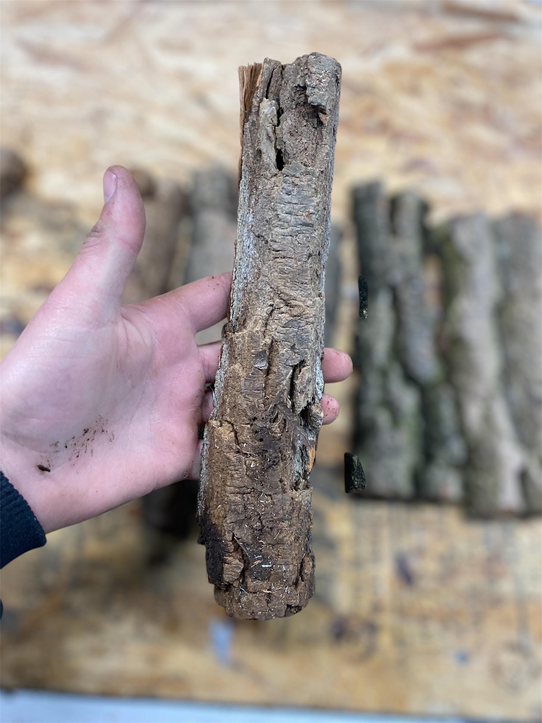 Cottonwood Bark for Carving: Michigan Sourced, Natural Wood (1lb) - Etsy