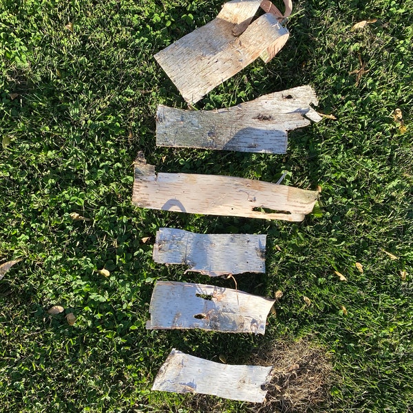 Nature Crafts - Etsy