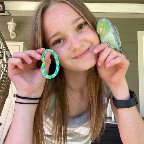 BirdTricksKIDS - Etsy