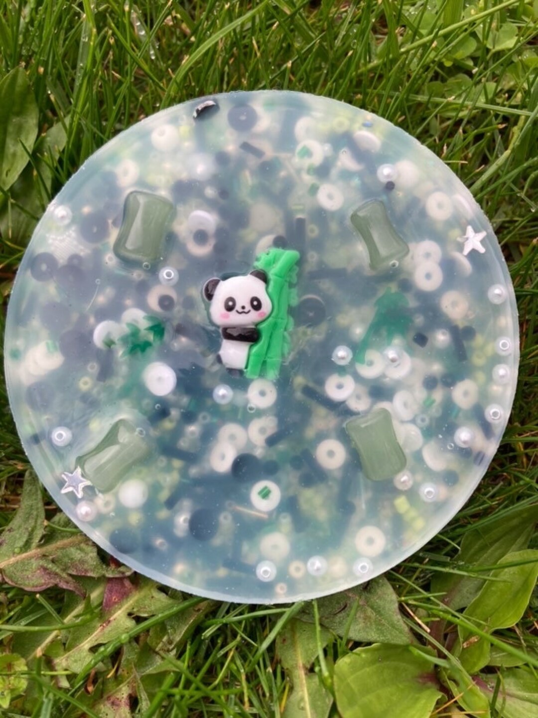 Panda Bear in Bamboo Forest Picking Pad Silicone Fidget Toy for Stress ...