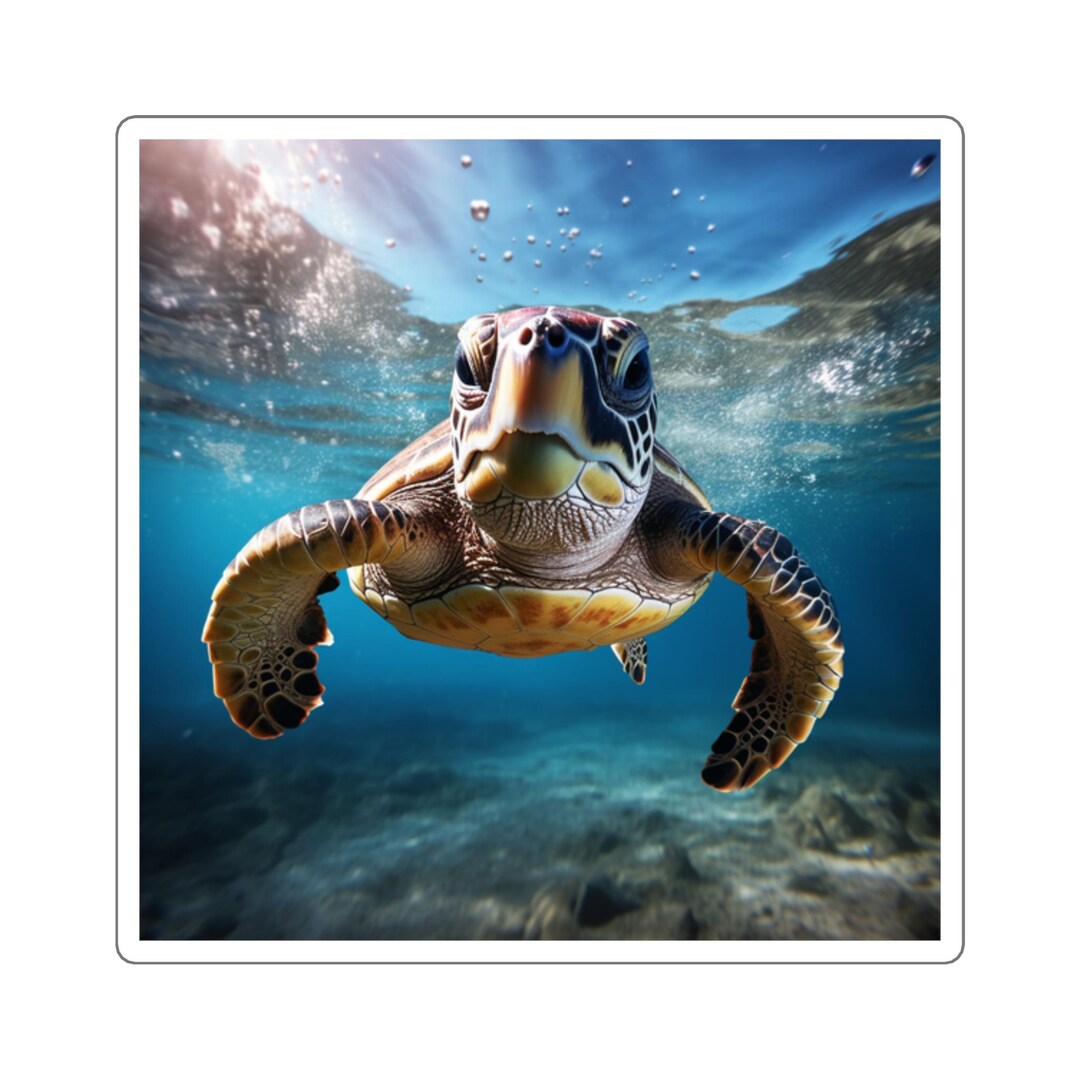 Sea Turtle Girl Sticker | Square Sticker, Beach Anime Illustration - Etsy