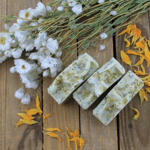 Gritty Gardner's Soap - Etsy