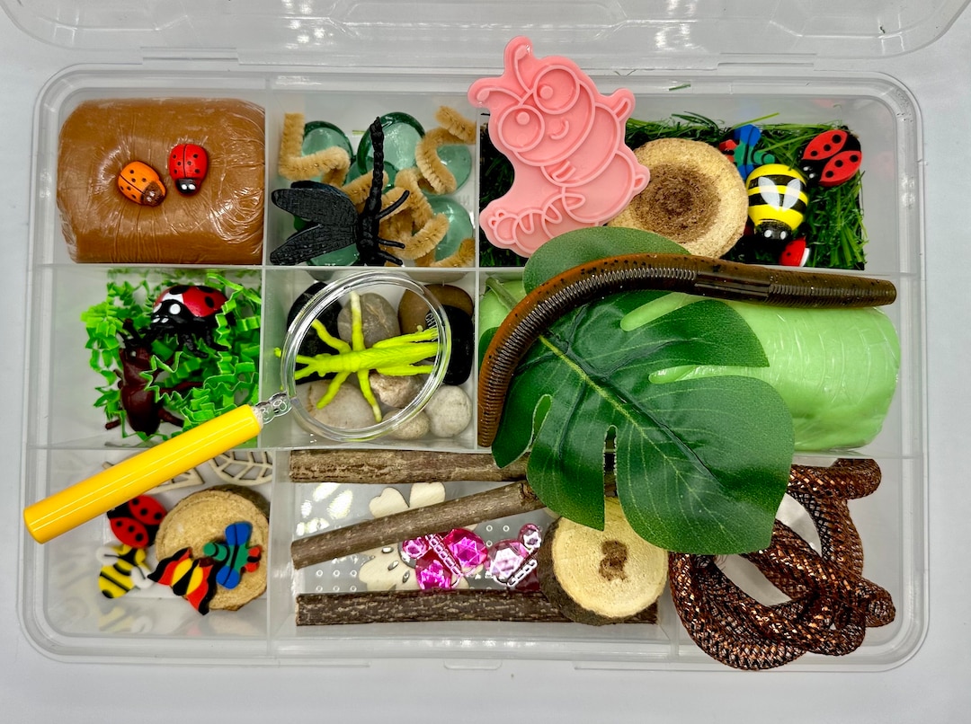 Bug Playdough Box - Etsy