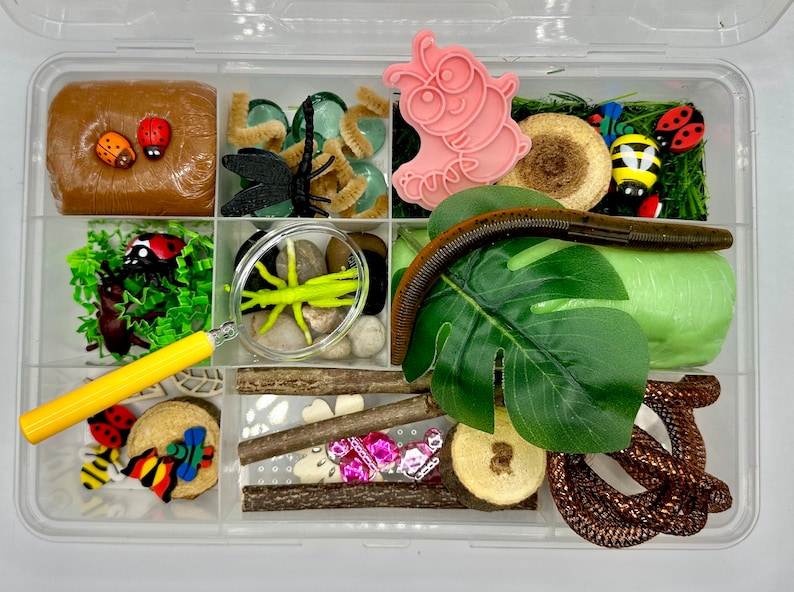Bug Playdough Box - Etsy