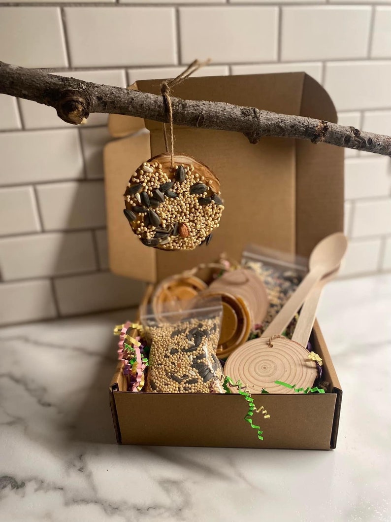 Make Your Own Bird Feeder Kit - Including Supplies for 3 Feeders - Etsy