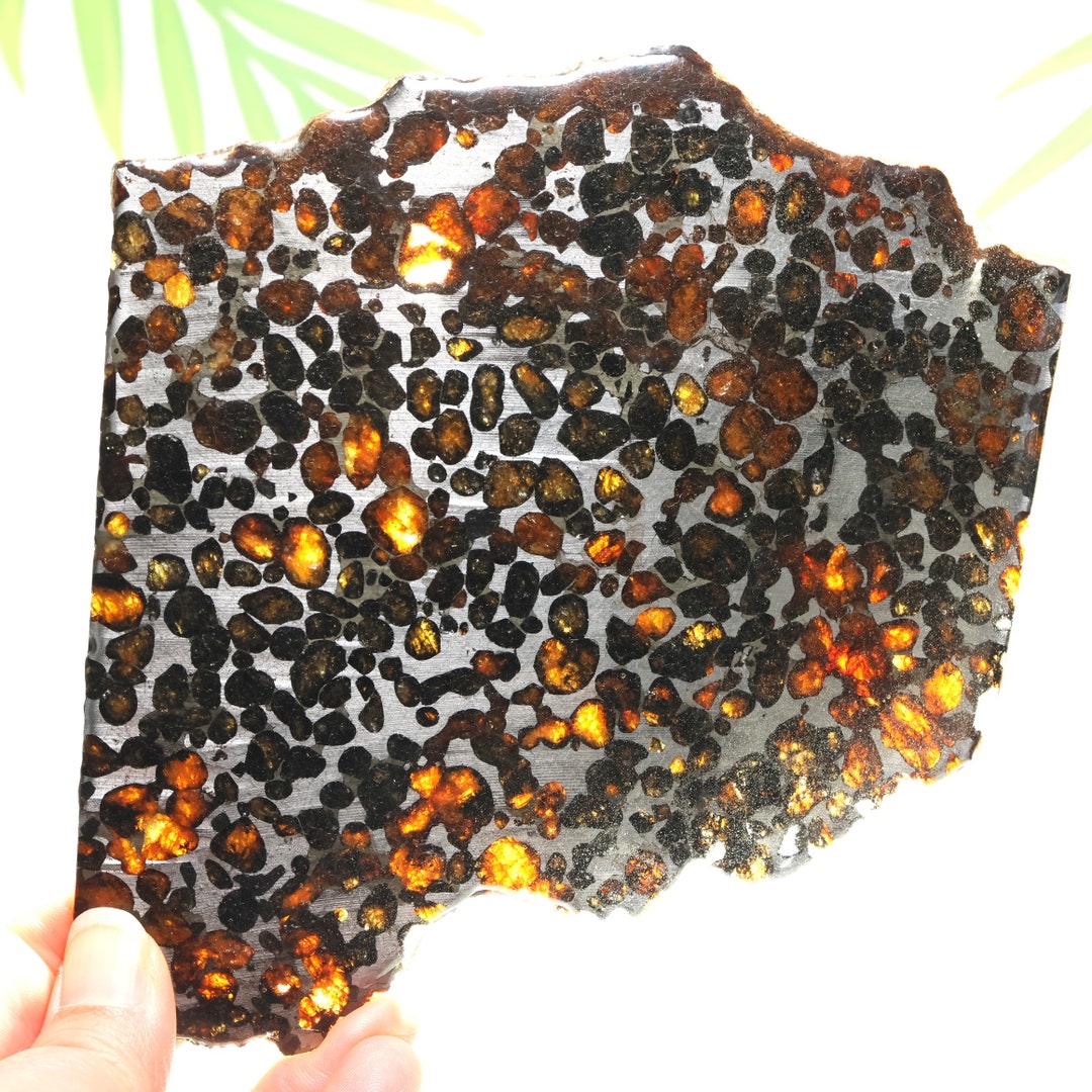 173g SERICHO Pallasite Olive Meteorite Slices From Kenya quality ...