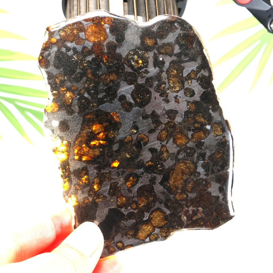 134g SERICHO Pallasite Olive Meteorite Slices From Kenya quality ...