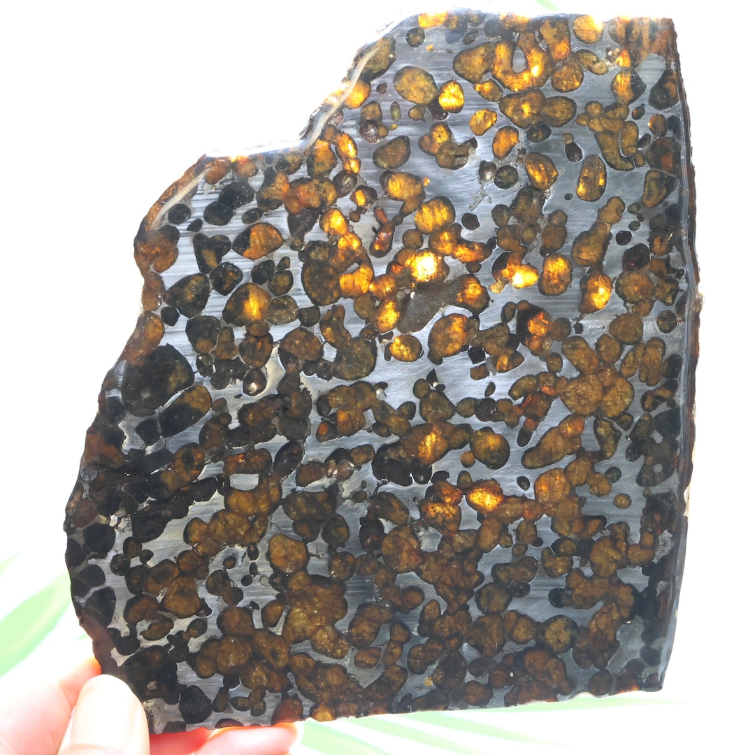 242g SERICHO Pallasite Olive Meteorite Slices From Kenya quality ...