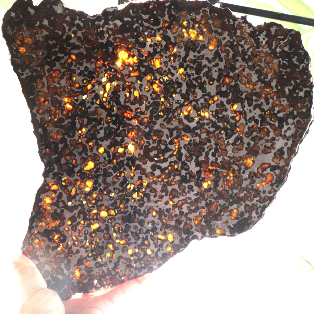 831g SERICHO Pallasite Olive Meteorite Slices From Kenya Beautiful ...