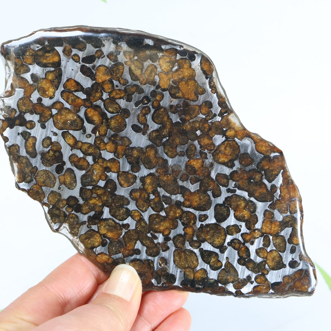 194g SERICHO Pallasite Olive Meteorite Slices From Kenya quality ...