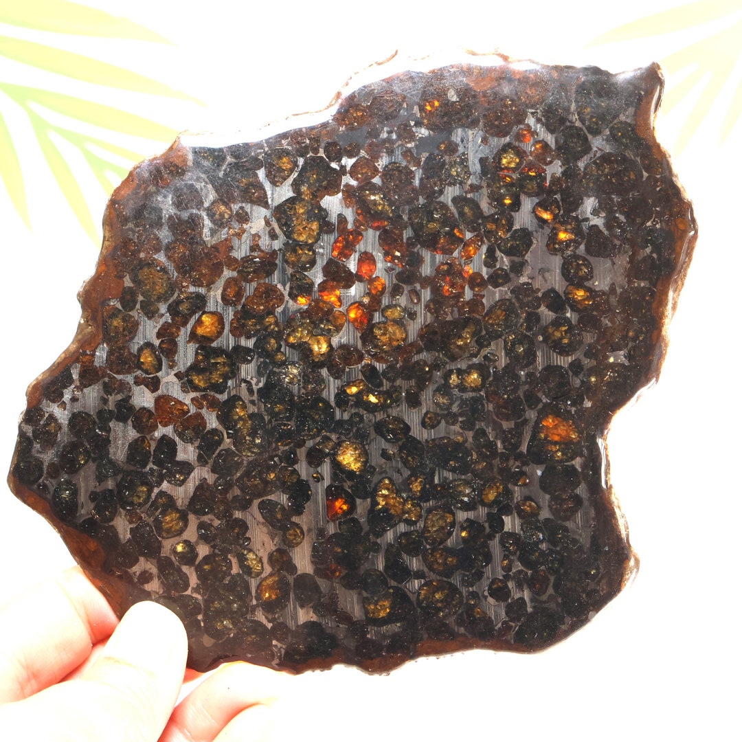 170g SERICHO Pallasite Olive Meteorite Slices From Kenya quality ...