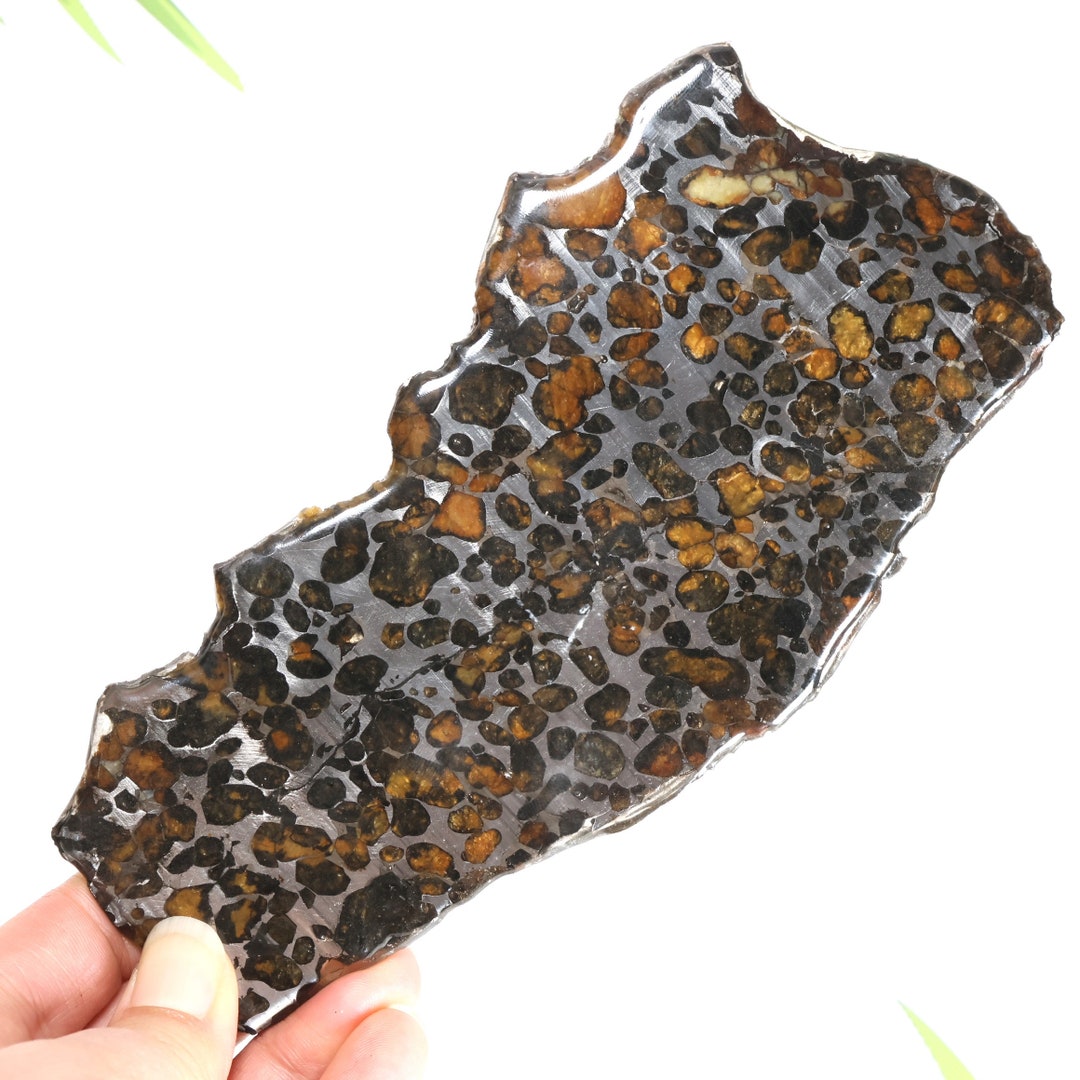 165g SERICHO Pallasite Olive Meteorite Slices From Kenya quality ...