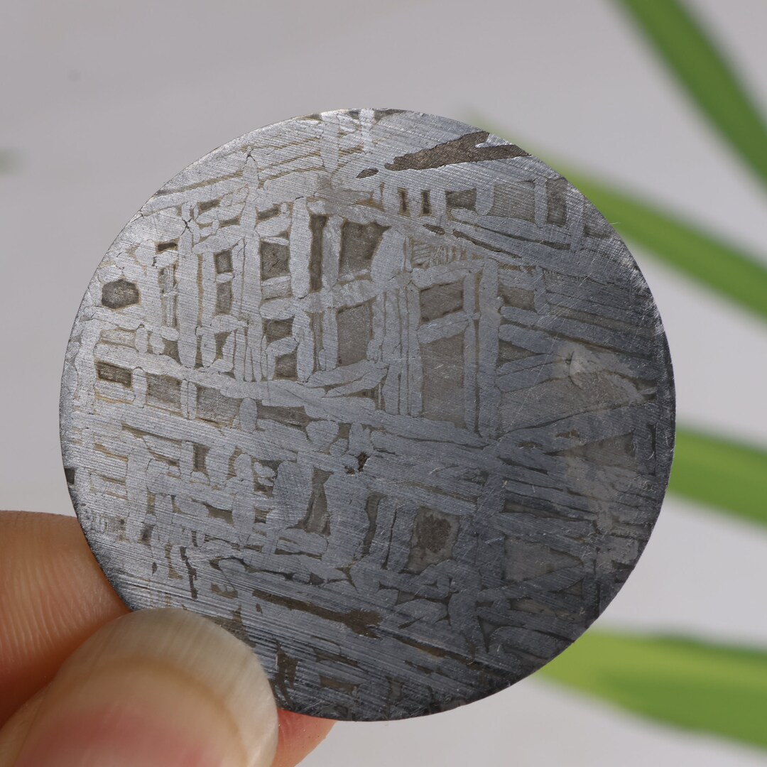 5g Muonionalusta Meteorite,meteorite Circular Slicenatural Meteorite ...