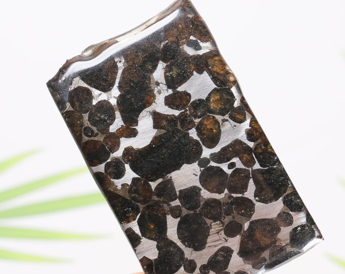 29g SERICHO Pallasite Olive Meteorite Slices From Kenya quality Natural ...