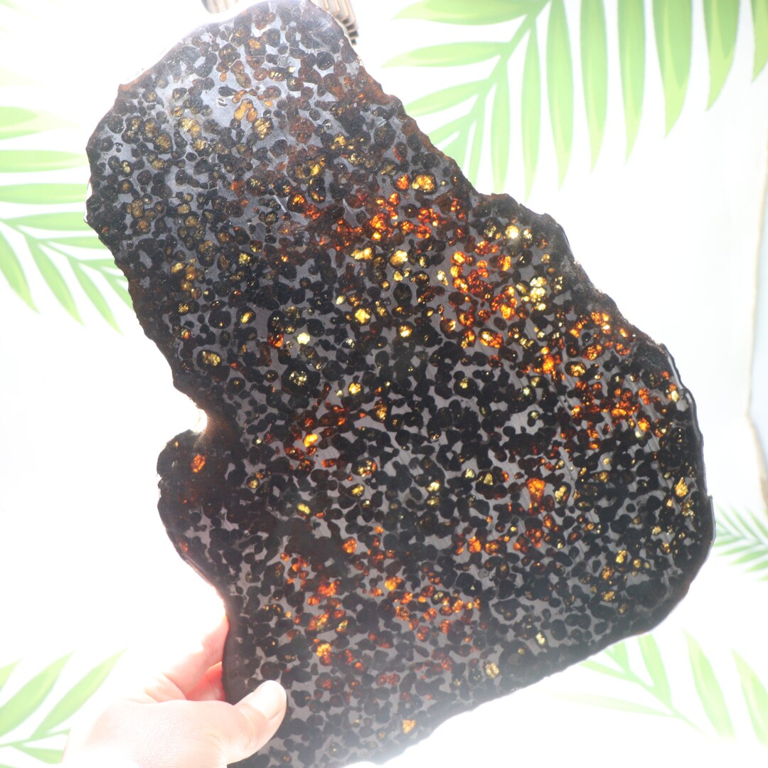 512g SERICHO Pallasite Olive Meteorite Slices From Kenya quality ...