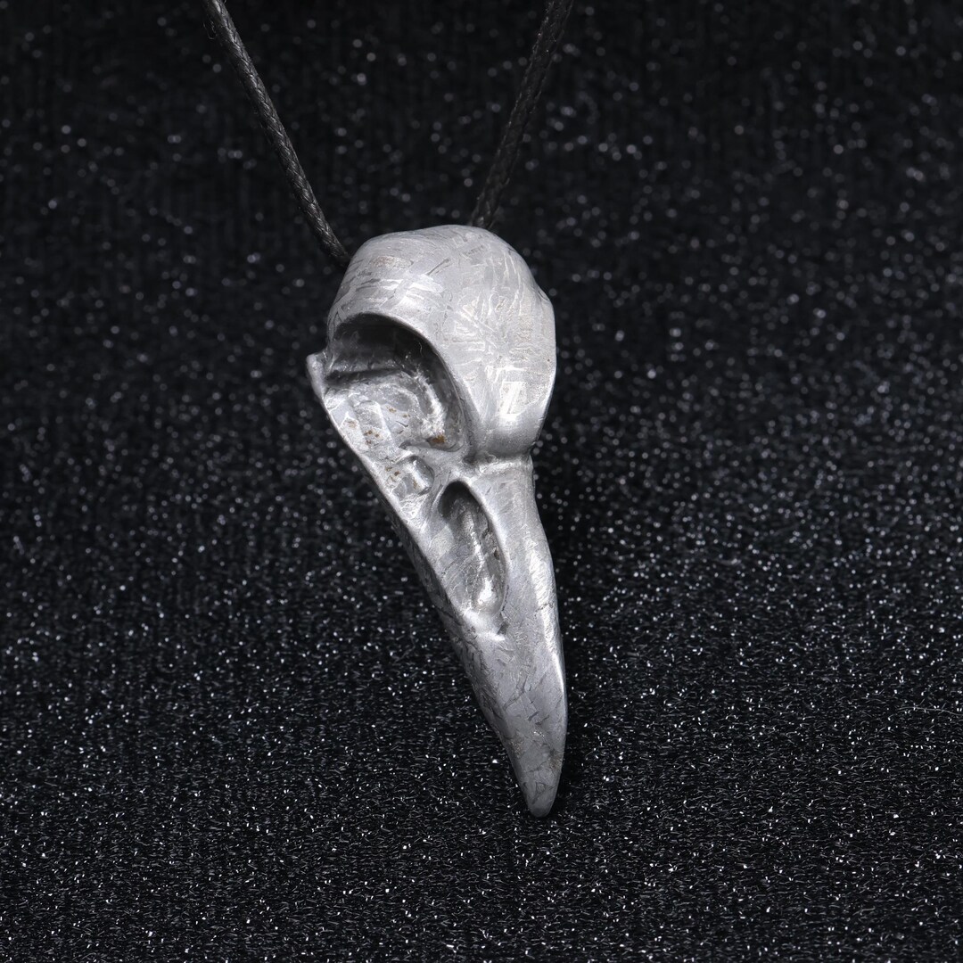 Crow Skull Meteorite Pendant,carved Beak Necklace - Etsy