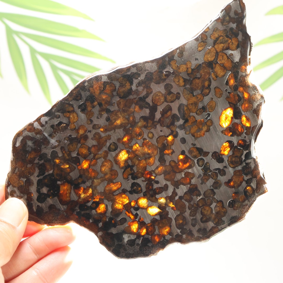 163g SERICHO Pallasite Olive Meteorite Slices From Kenya quality ...