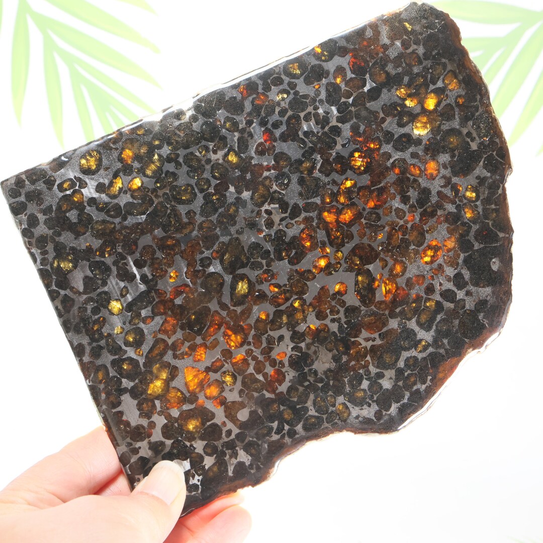 310g SERICHO Pallasite Olive Meteorite Slices From Kenya quality ...