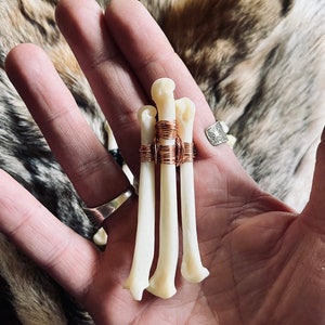 LARGE Fixed Coyote Bone Stealth Talisman - Etsy