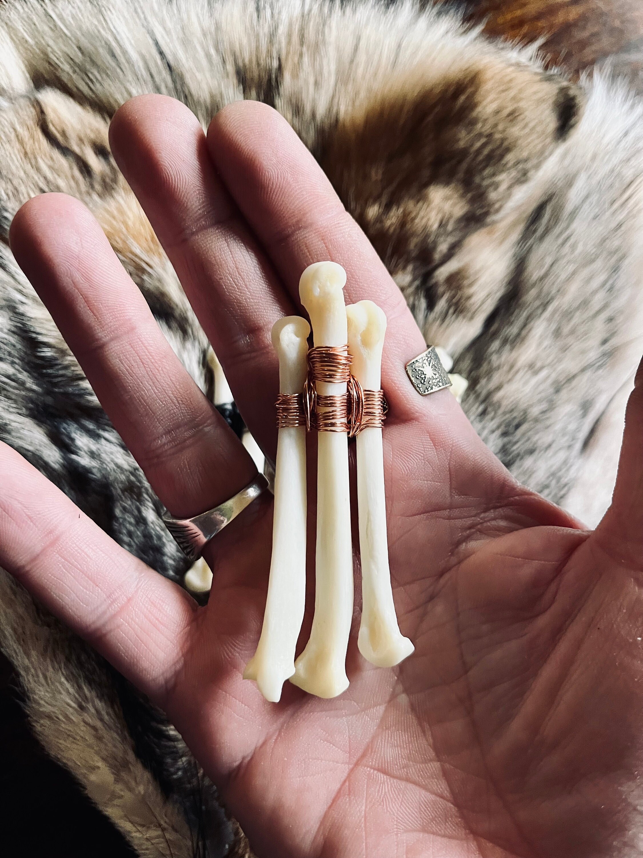 LARGE Fixed Coyote Bone Stealth Talisman - Etsy