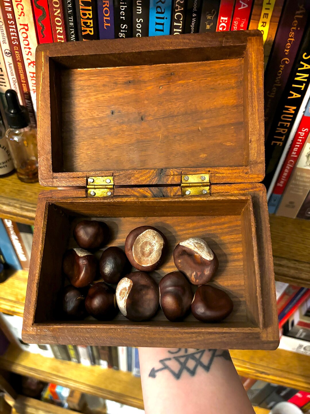One Lucky Buckeye Fixed With Hoyt’s Cologne for Luck, Success in ...