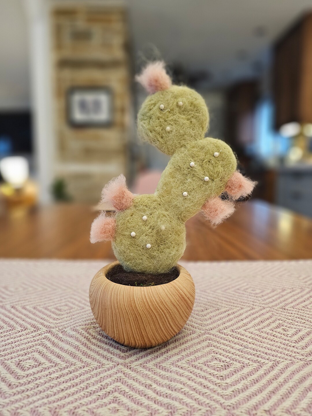 Needle Felted Cactus - Etsy