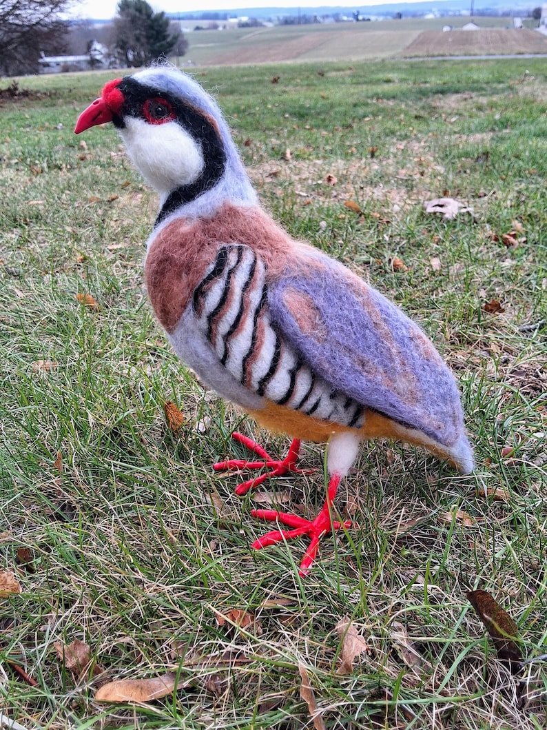 Needle-felted Partridge- Handmade to Order - Etsy