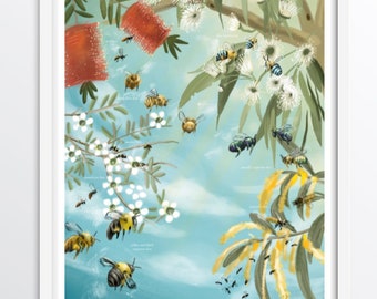 Native Bees of NSW Poster 4th Edition - Etsy Australia