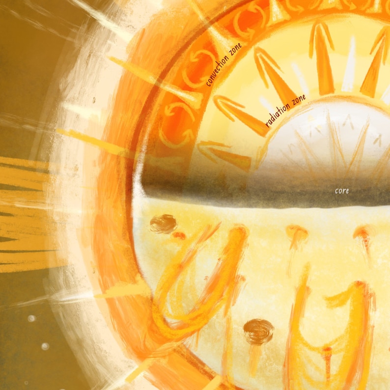 Educational Poster Star Anatomy: Inside the Sun Astronomy, Space ...