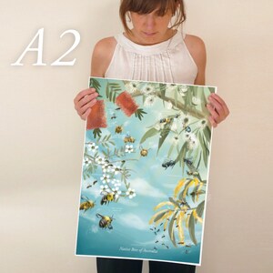 Bee Poster - Australian Native Bee Illustration - Educational Science ...