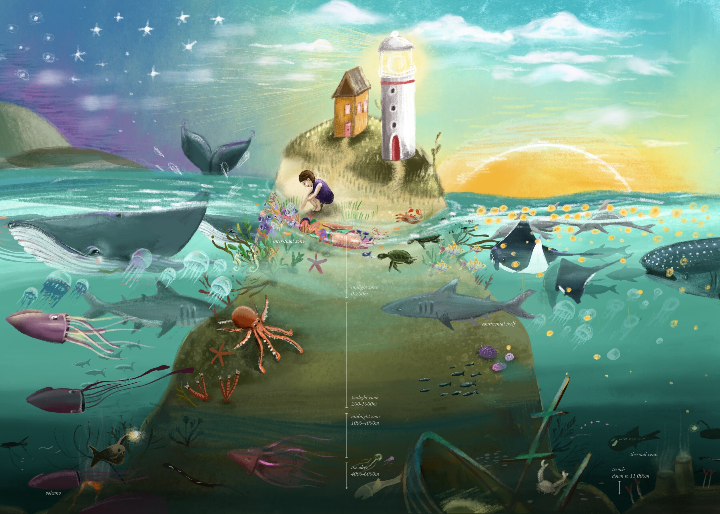 Educational Ocean Poster Ocean Zones and the Creatures That - Etsy ...