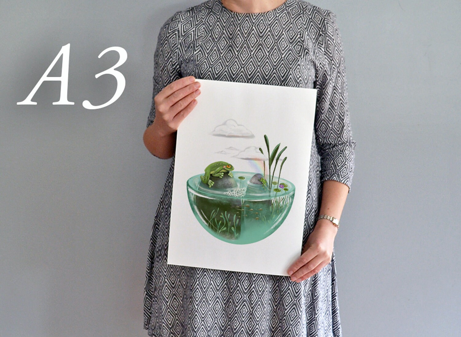 Science Poster Life Cycle of Frogs Science Art Poster for Kids - Etsy