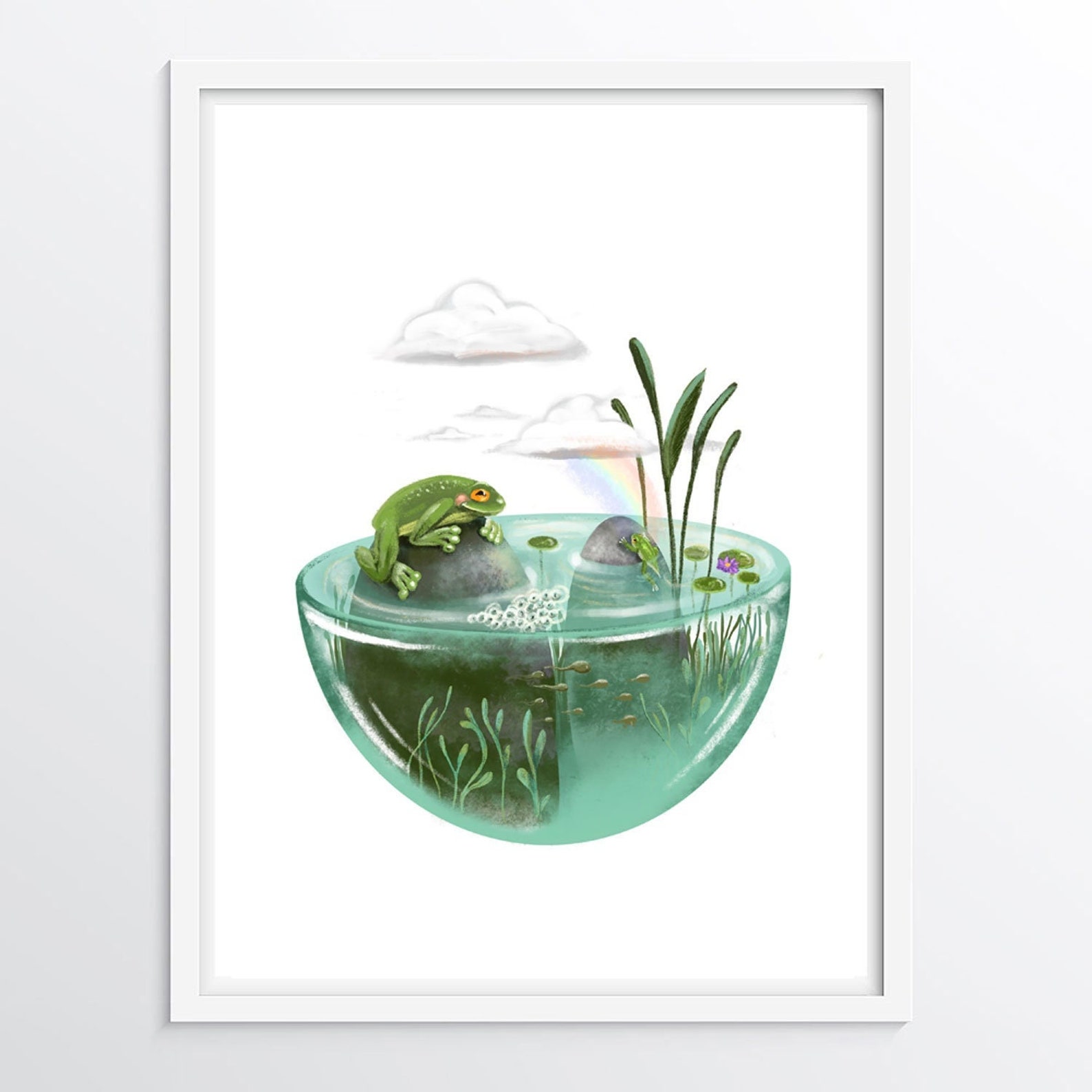 Science Poster Life Cycle of Frogs Science Art Poster for Kids - Etsy