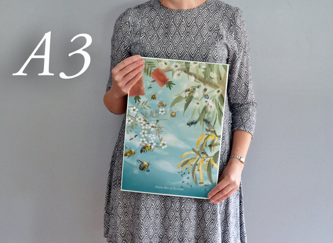 Bee Poster Australian Native Bee Illustration Educational | Etsy Australia