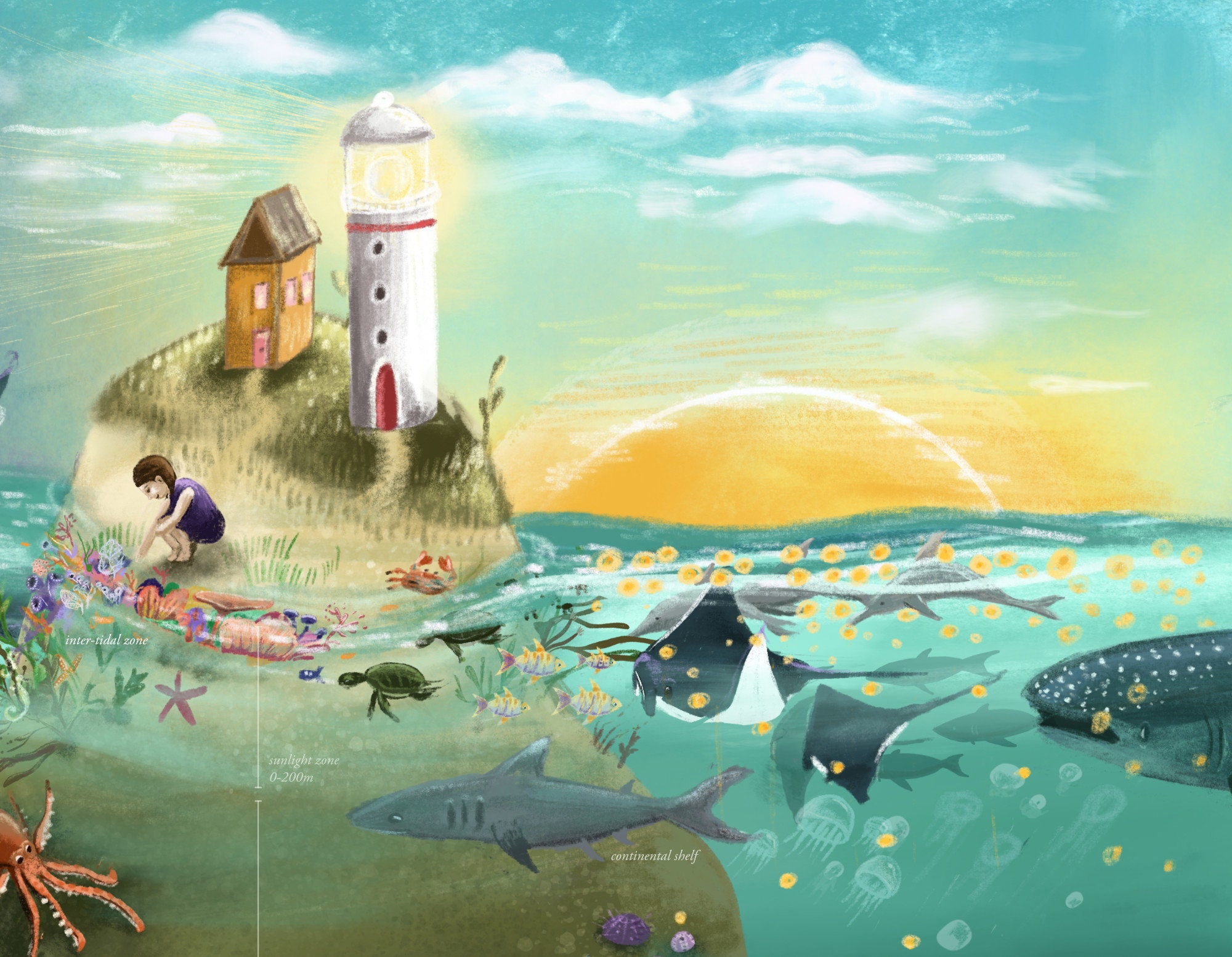 Educational Ocean Poster Ocean Zones and the Creatures That - Etsy ...