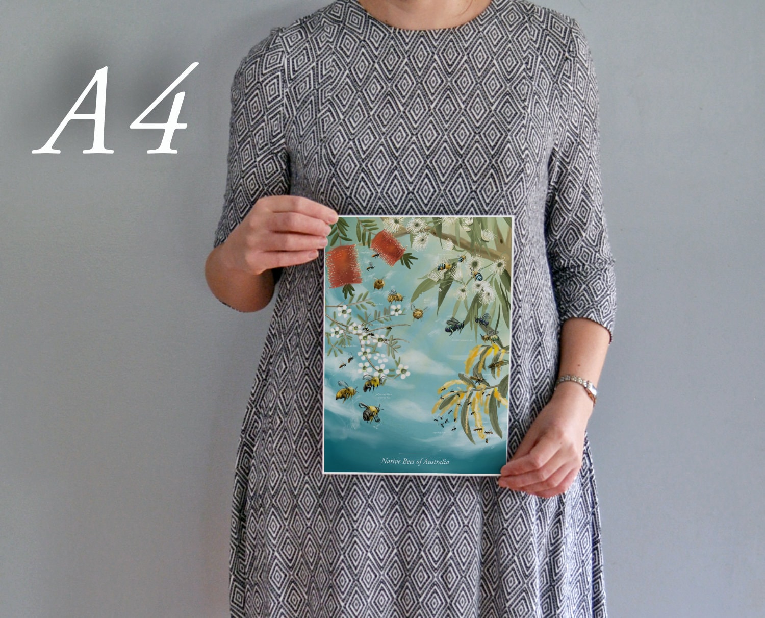 Bee Poster Australian Native Bee Illustration Educational | Etsy Australia