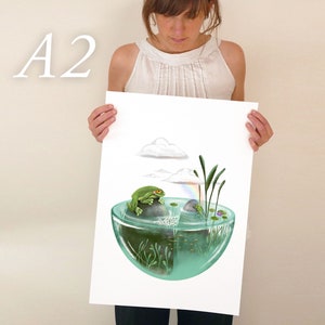 Science Poster - Life Cycle of Frogs - Science Art Poster for Kids - Etsy